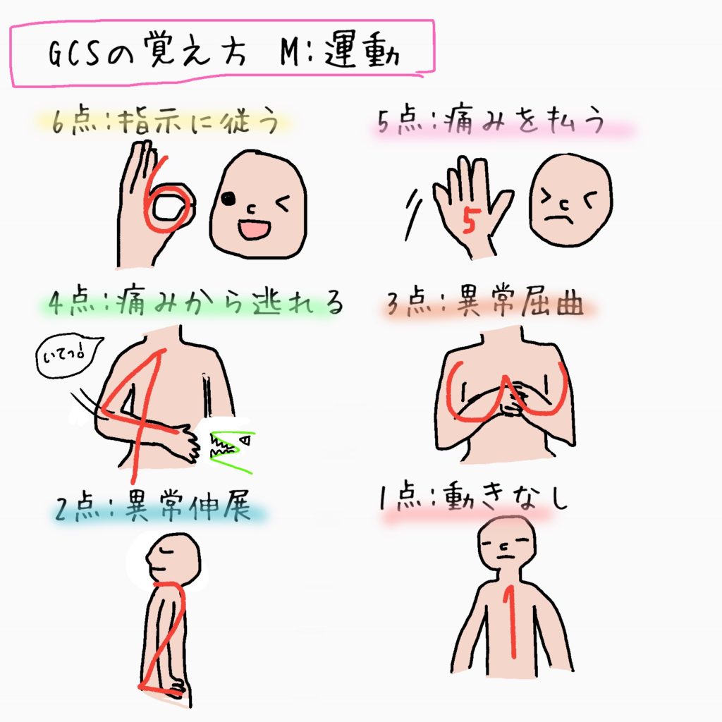 JCSとGCSの簡単な覚え方！ゴロとイラストで完全暗記【国試直前の暗記！】 | もちゆきナース室